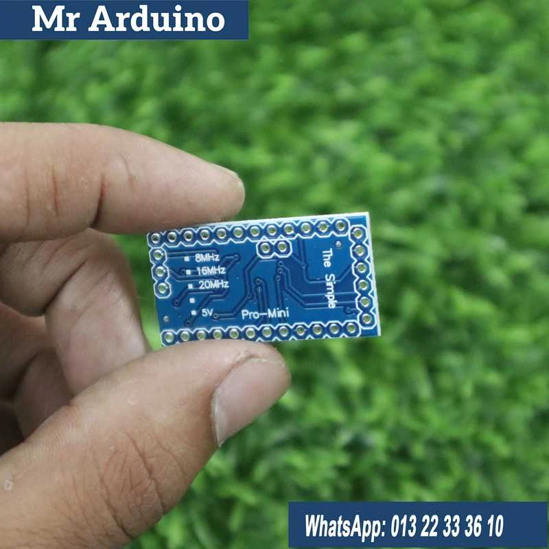 Arduino Pro Mini
